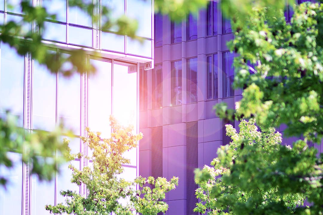 Carbonsight | Decarbonization Software For Real Estate Portfolios